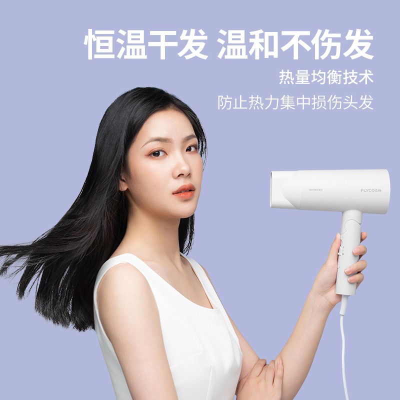 飞科 FLYCO 电吹风机FH6276 白色 白色